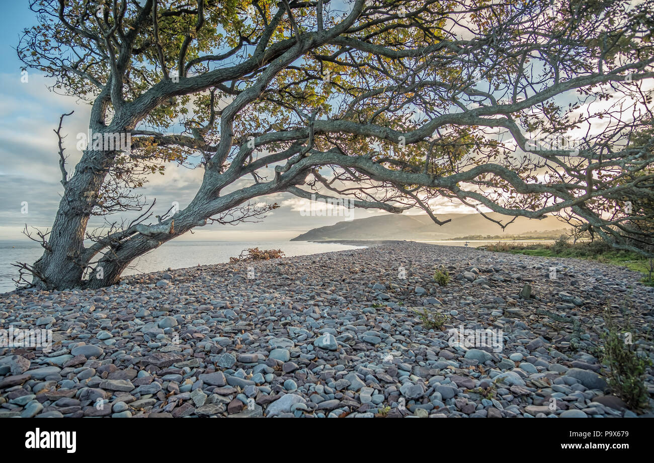 Porlock weir and spring hi-res stock photography and images - Alamy