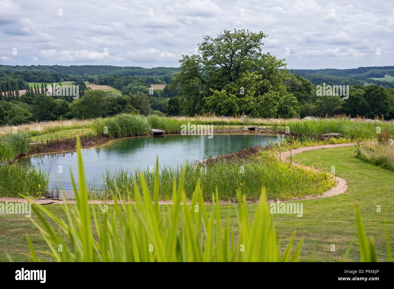 Natural swimming pond, fresh water swimming pool Stock Photo - Alamy