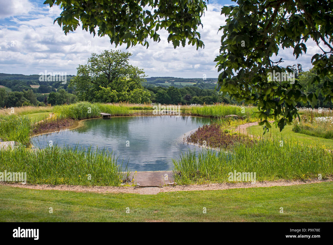 Natural swimming pond, fresh water swimming pool Stock Photo - Alamy