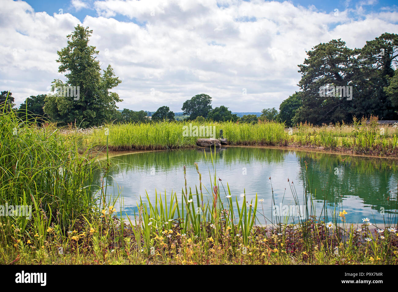Natural swimming pond, fresh water swimming pool Stock Photo - Alamy