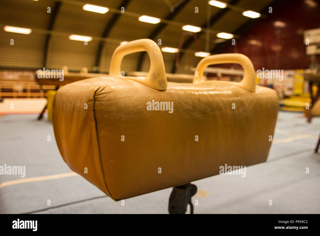 Gymnastic equipment in a gymnastic center Stock Photo - Alamy