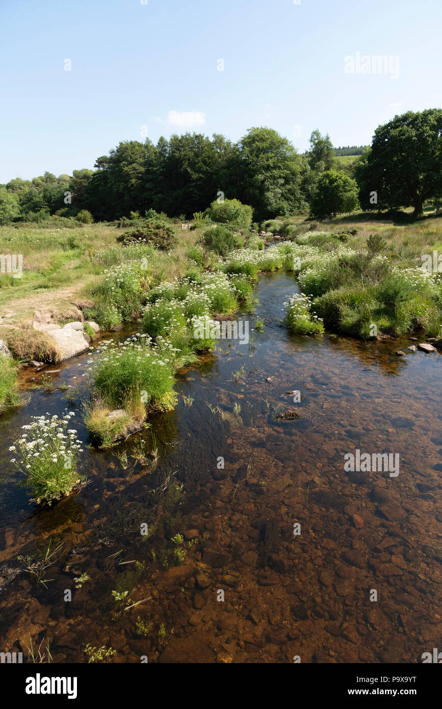Dartmoor rivers hi-res stock photography and images - Alamy
