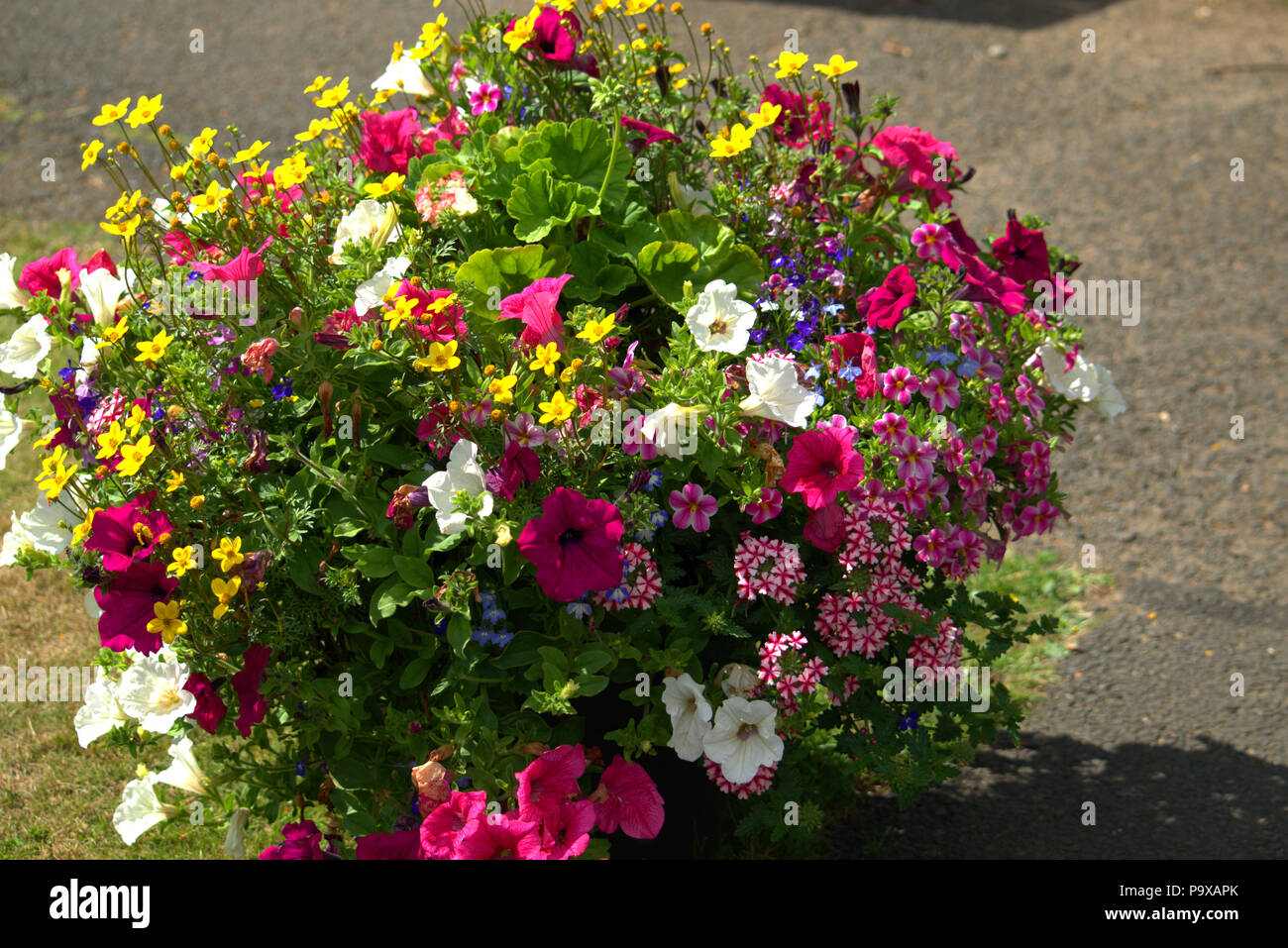 Tub of flowers Stock Photo - Alamy