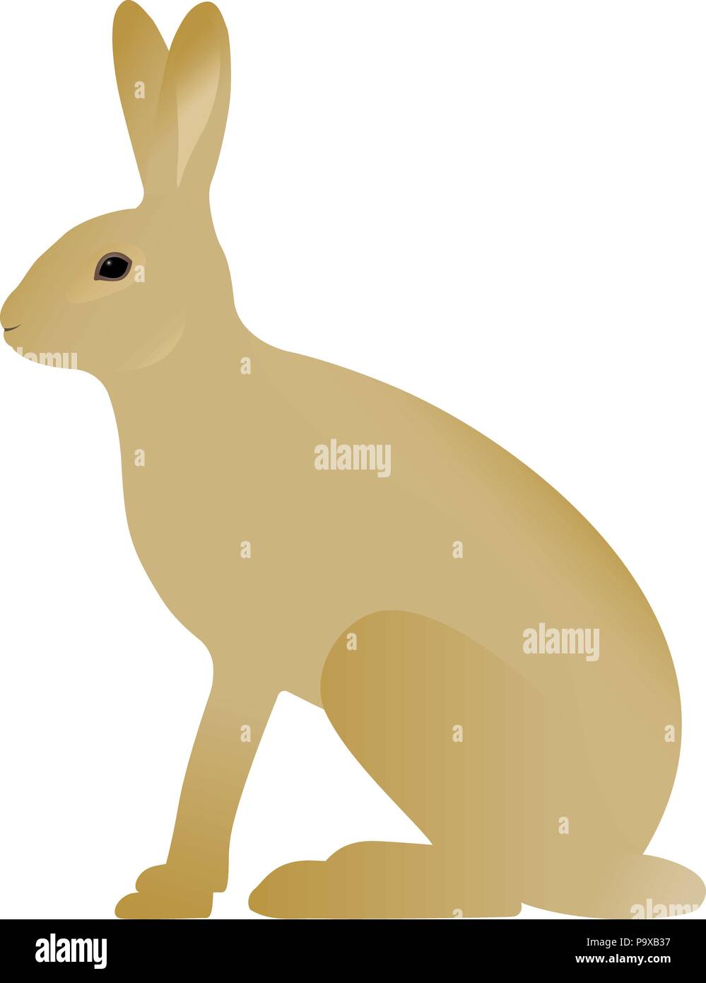 Vector illustration of a hare Stock Vector Image & Art - Alamy