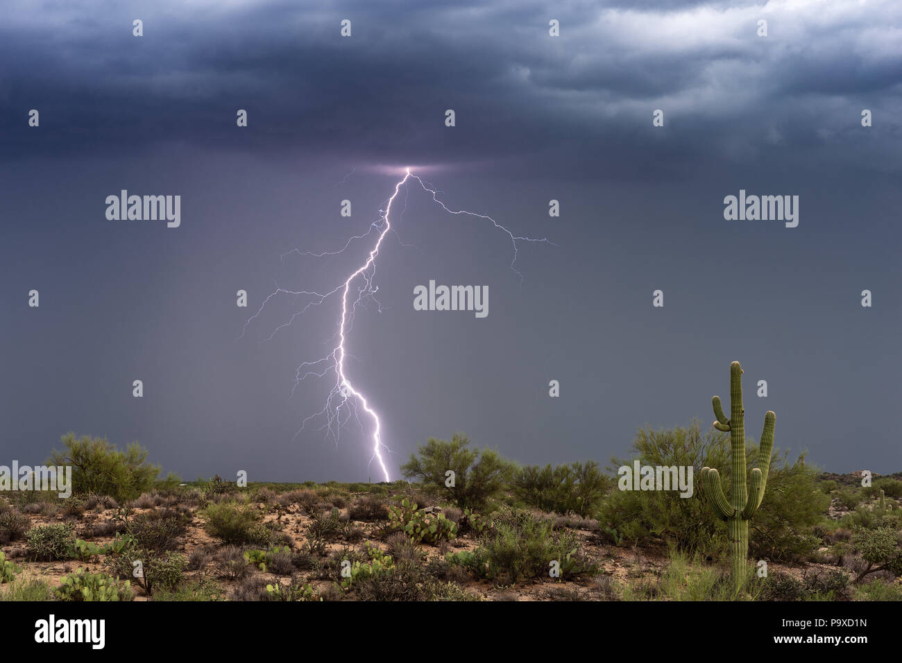 Lightning strike from a summer storm over the Sonoran Desert near ...