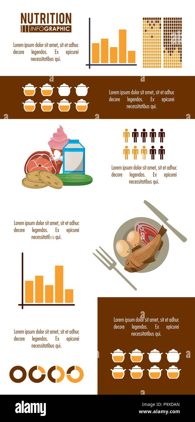 Nutrition and food brown infographic with statistics and elements Stock ...