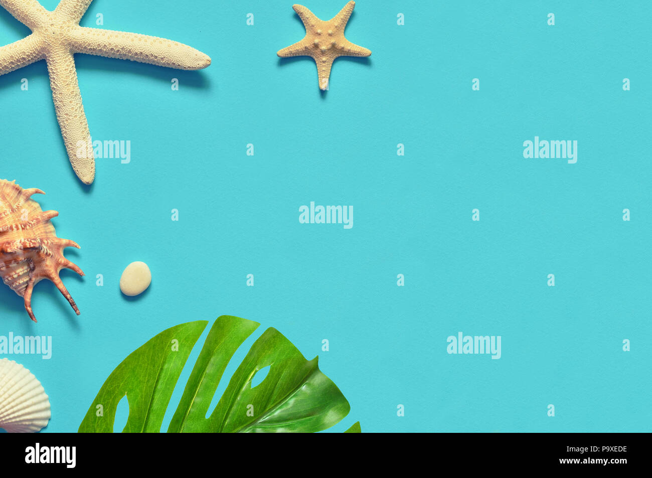 Tropical Background. Palm Trees Branches with starfish and seashell on ...