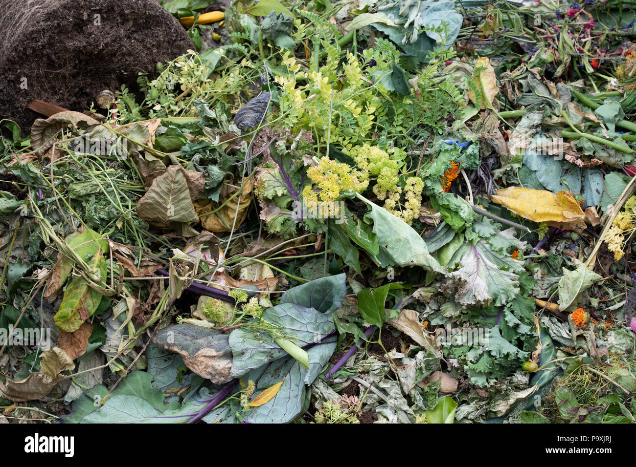 Compost heap leaves hi-res stock photography and images - Alamy
