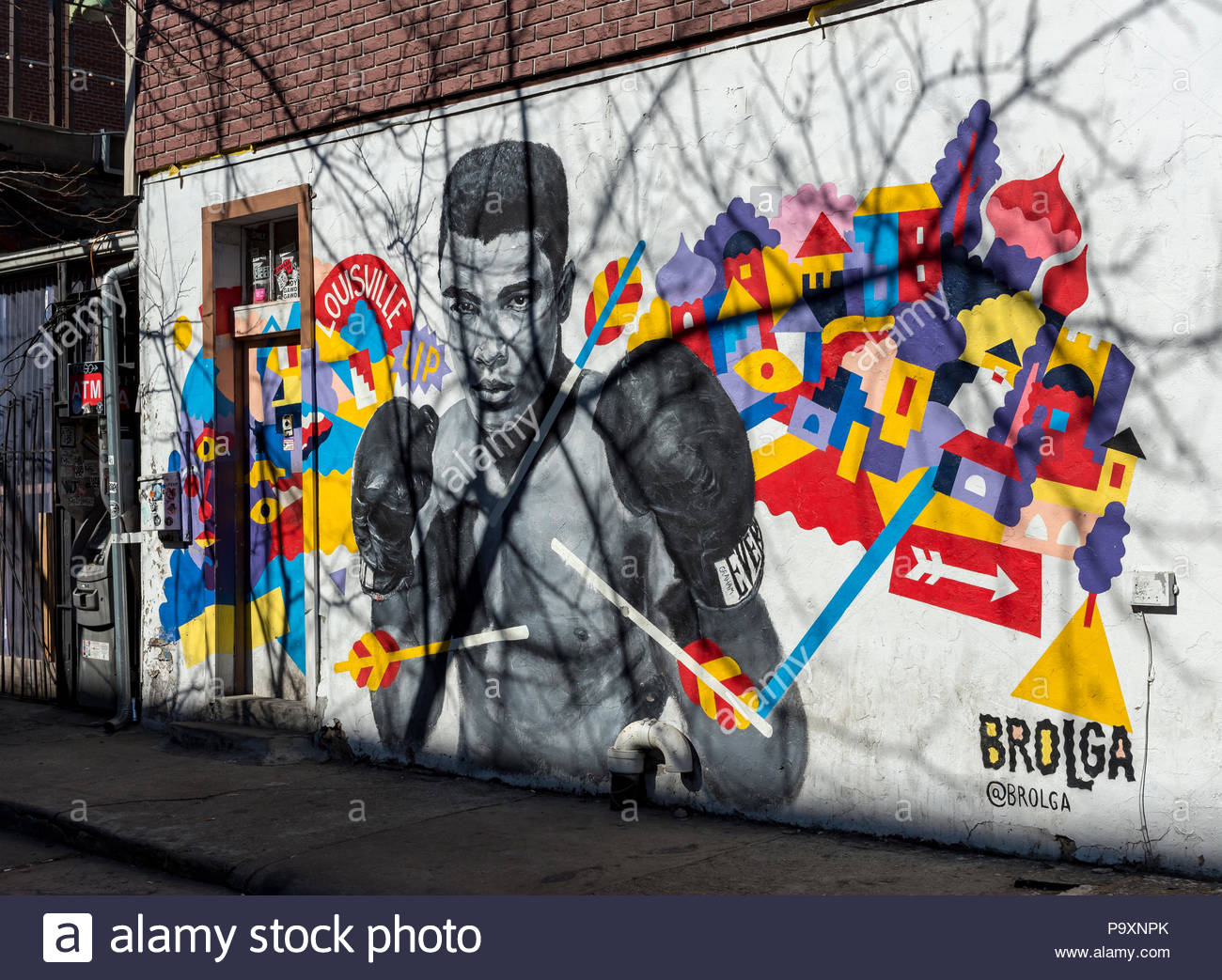 Brolga Stock Photos & Brolga Stock Images - Alamy