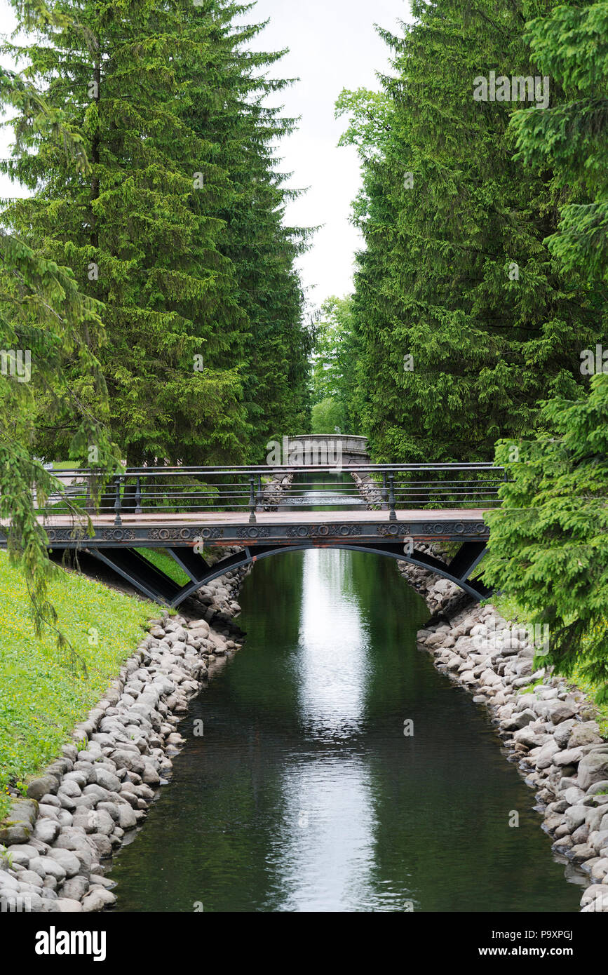 A small water canal with coniferous trees and a bridge in the summer ...