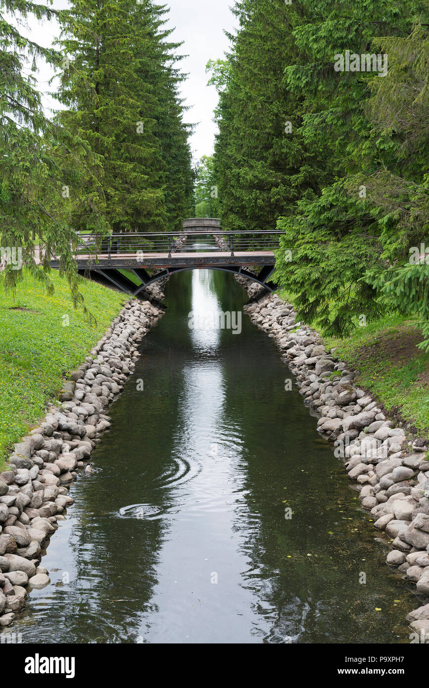 A small water canal with coniferous trees and a bridge in the summer ...