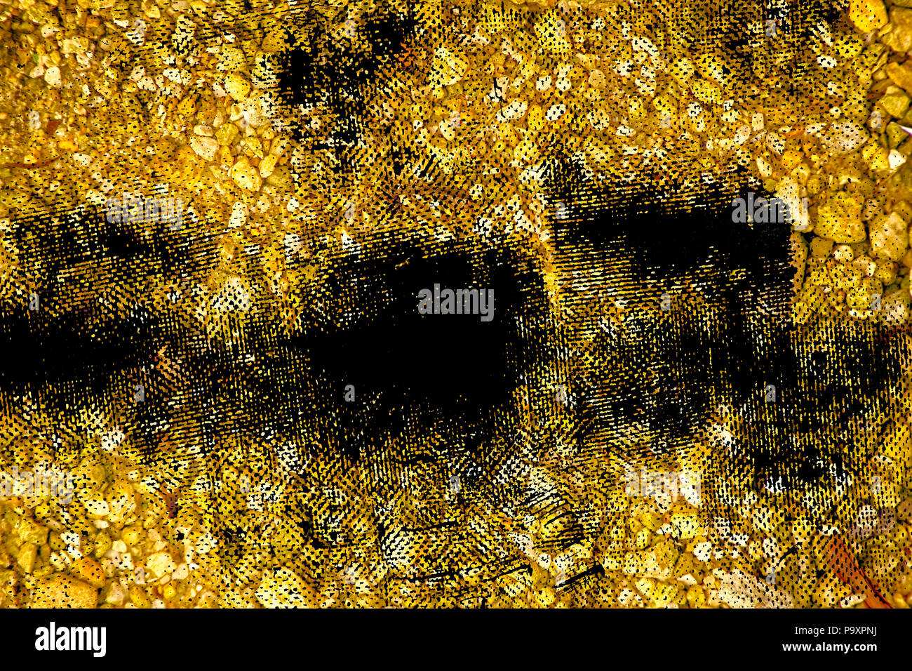 Ultra yellow Pebble surface, stone texture or rock backdrop, ground ...