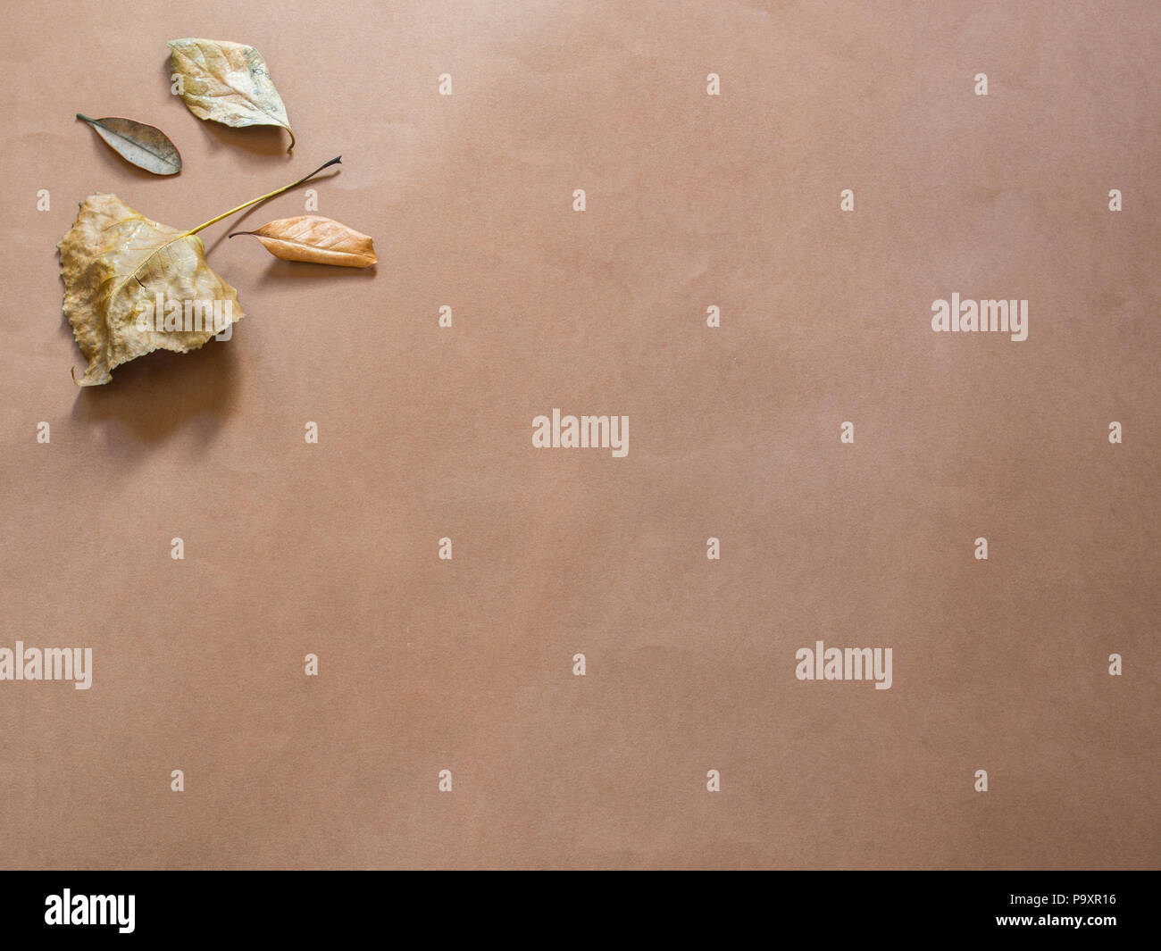 Fall background on brown with copy space Stock Photo - Alamy