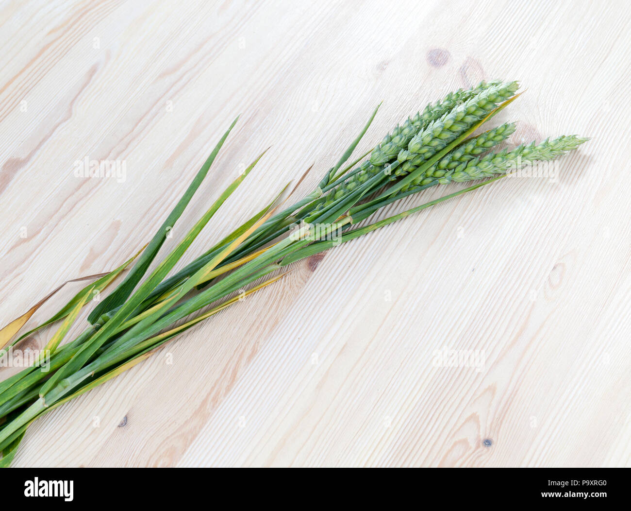 Light brown ripe wheat ears hi-res stock photography and images - Alamy