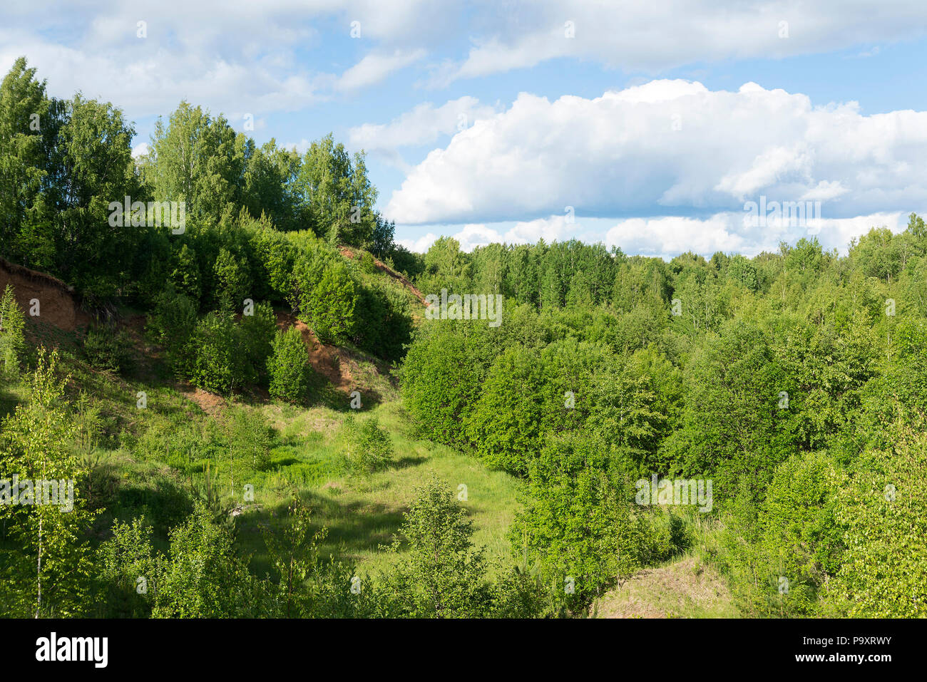 Different types of wood hi-res stock photography and images - Alamy