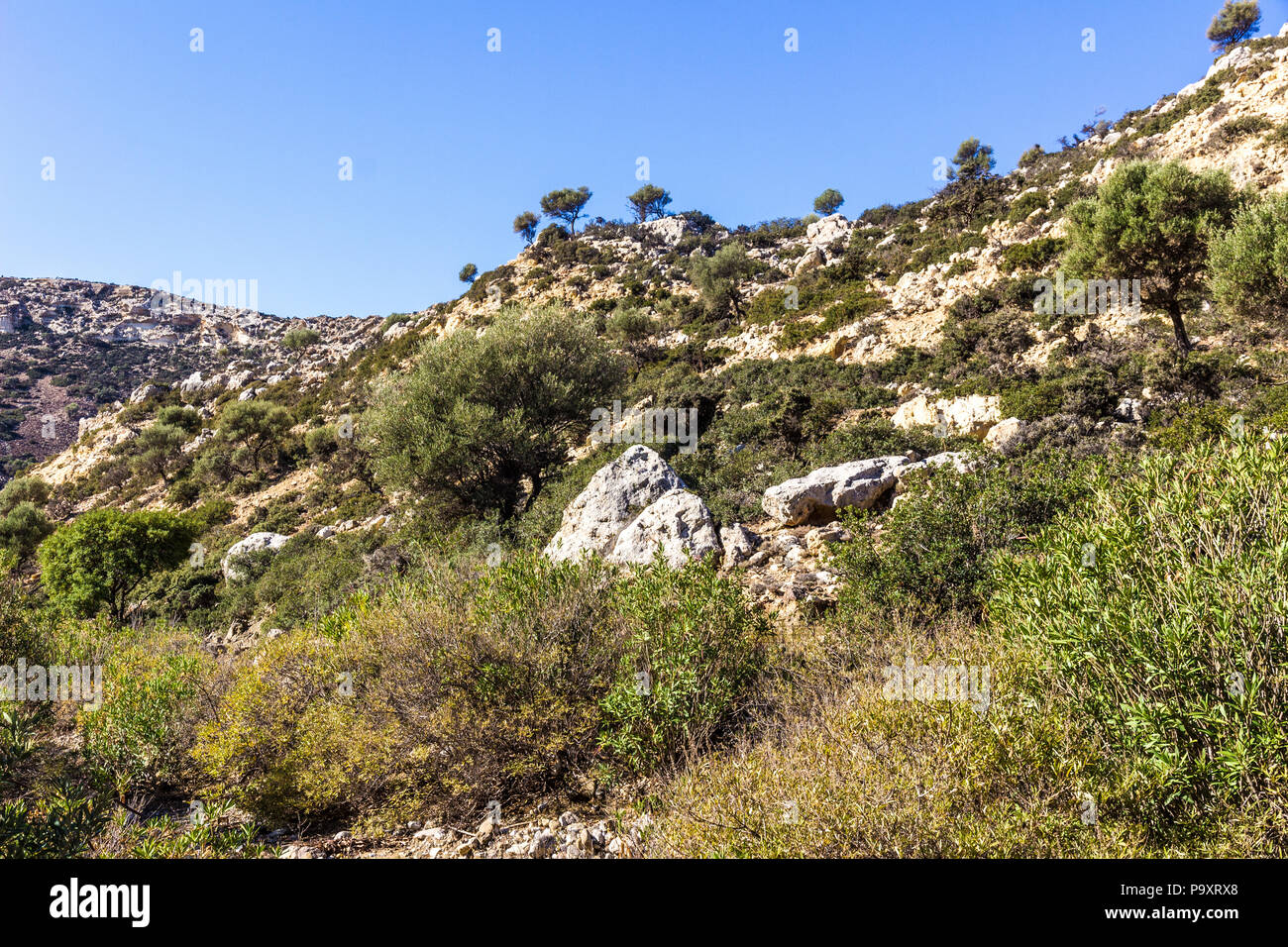 Agiofarango canyon, south of crete, greece Stock Photo - Alamy