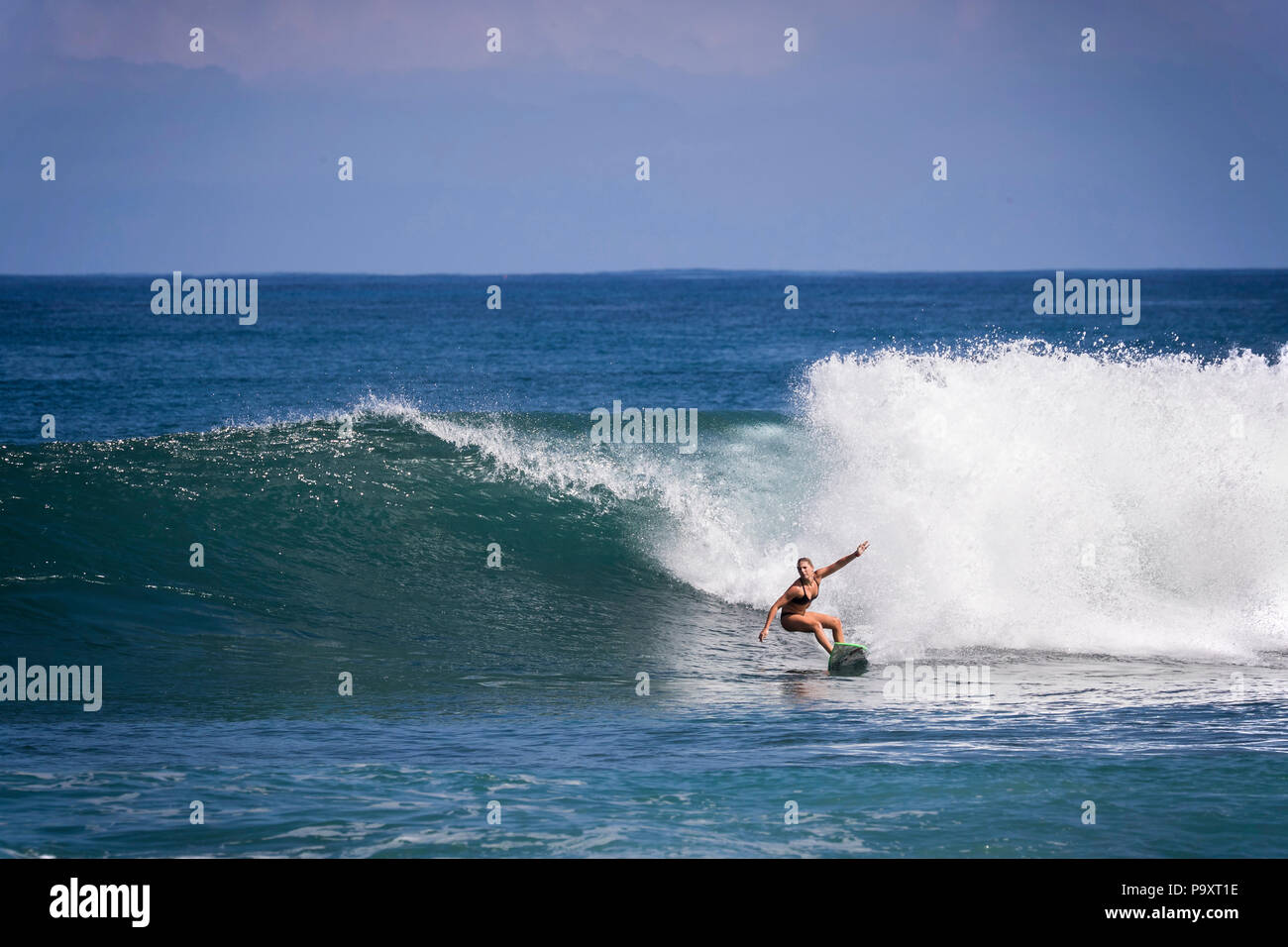 Woman surfing wave in hi-res stock photography and images - Alamy