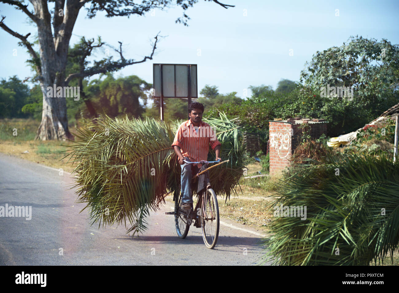 Lifestyle street scenes from a moving car, travelling from Jaipur to ...