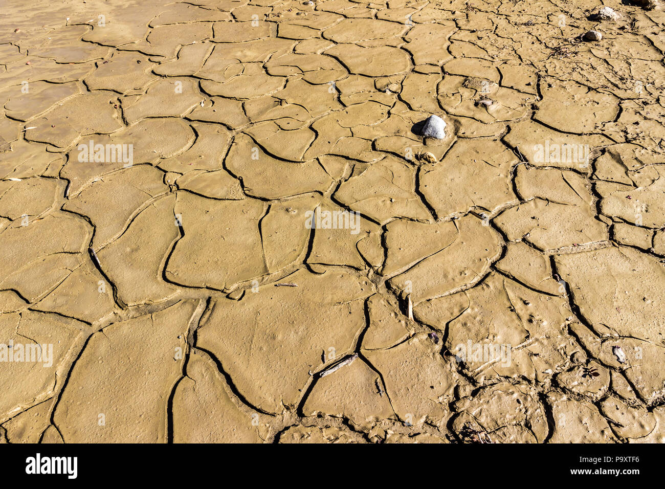 Beige sludge hi-res stock photography and images - Alamy