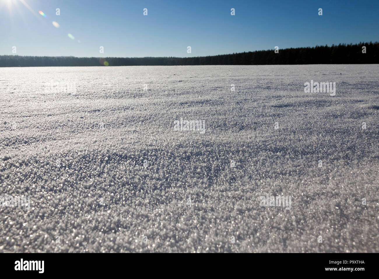 photographed snow after a snowfall during a frost Stock Photo - Alamy