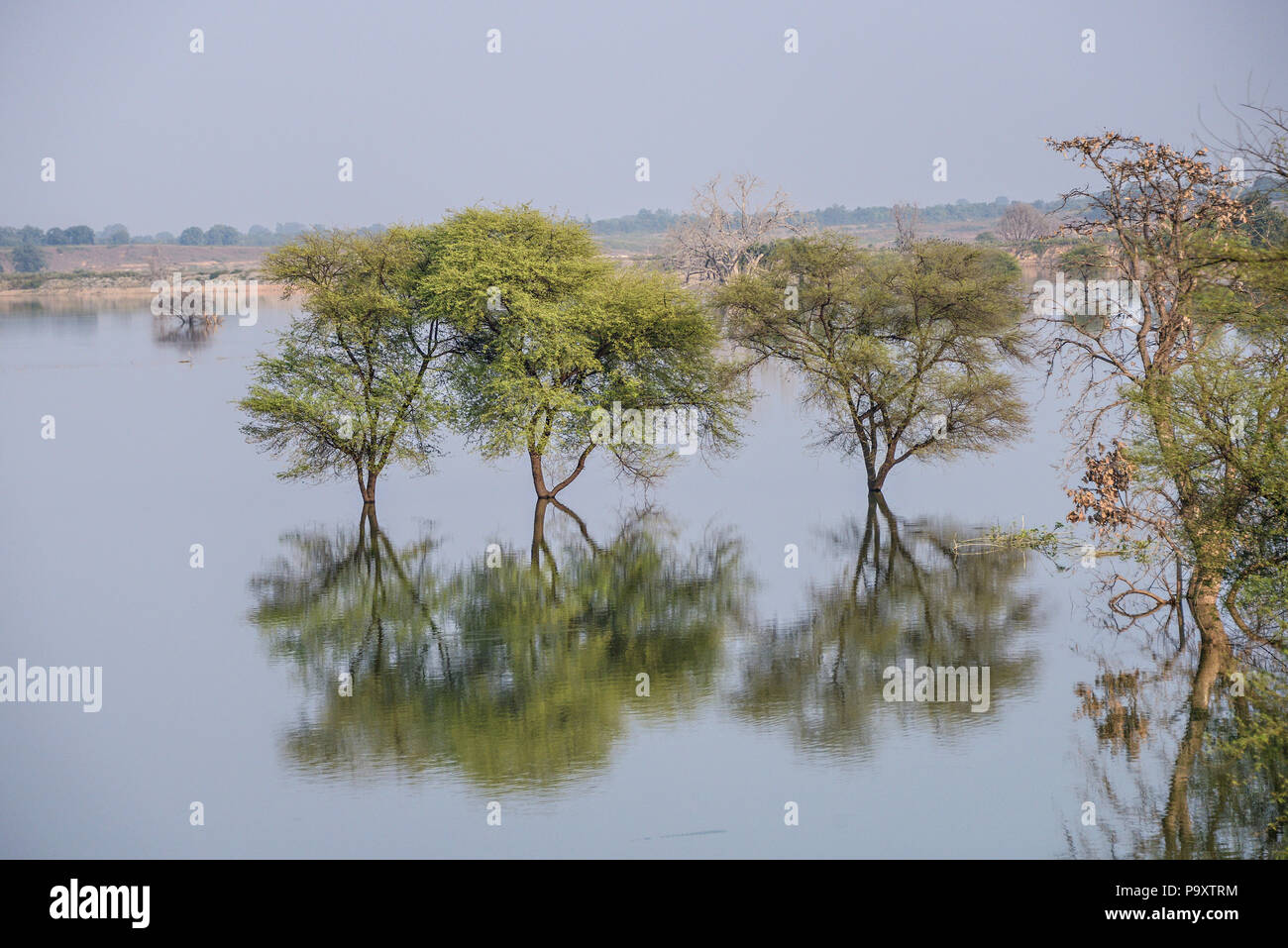 Flooded area of indian countryside with unique and beautiful light ...