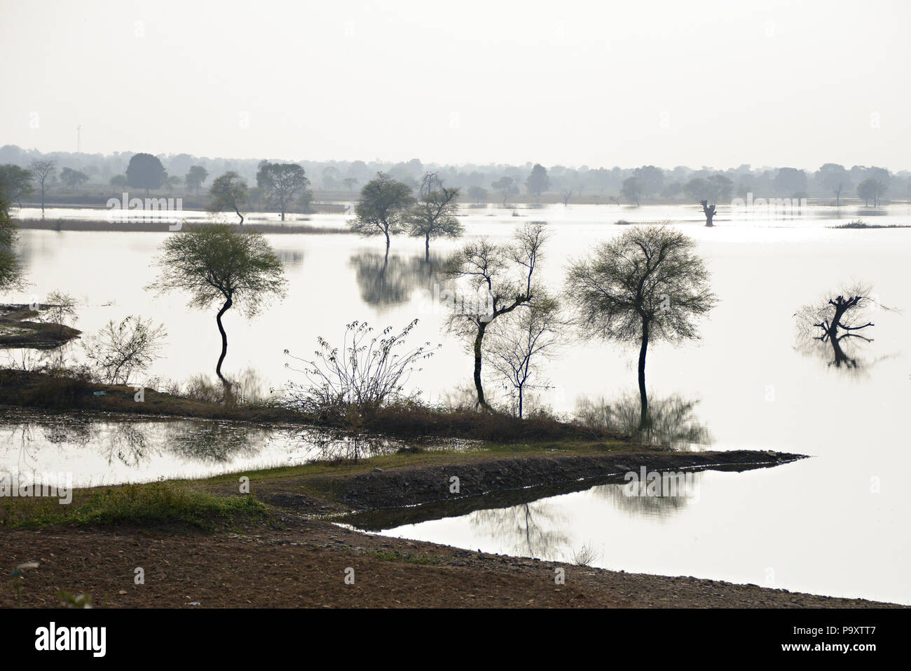 Flooded area of indian countryside with unique and beautiful light ...