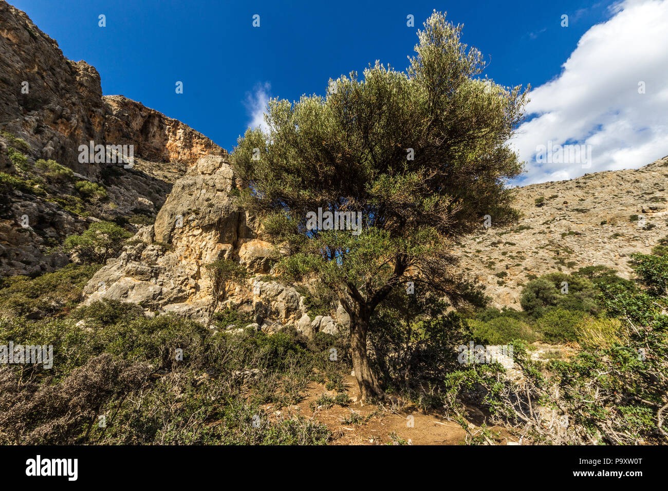 Agiofarango gorge hi-res stock photography and images - Alamy