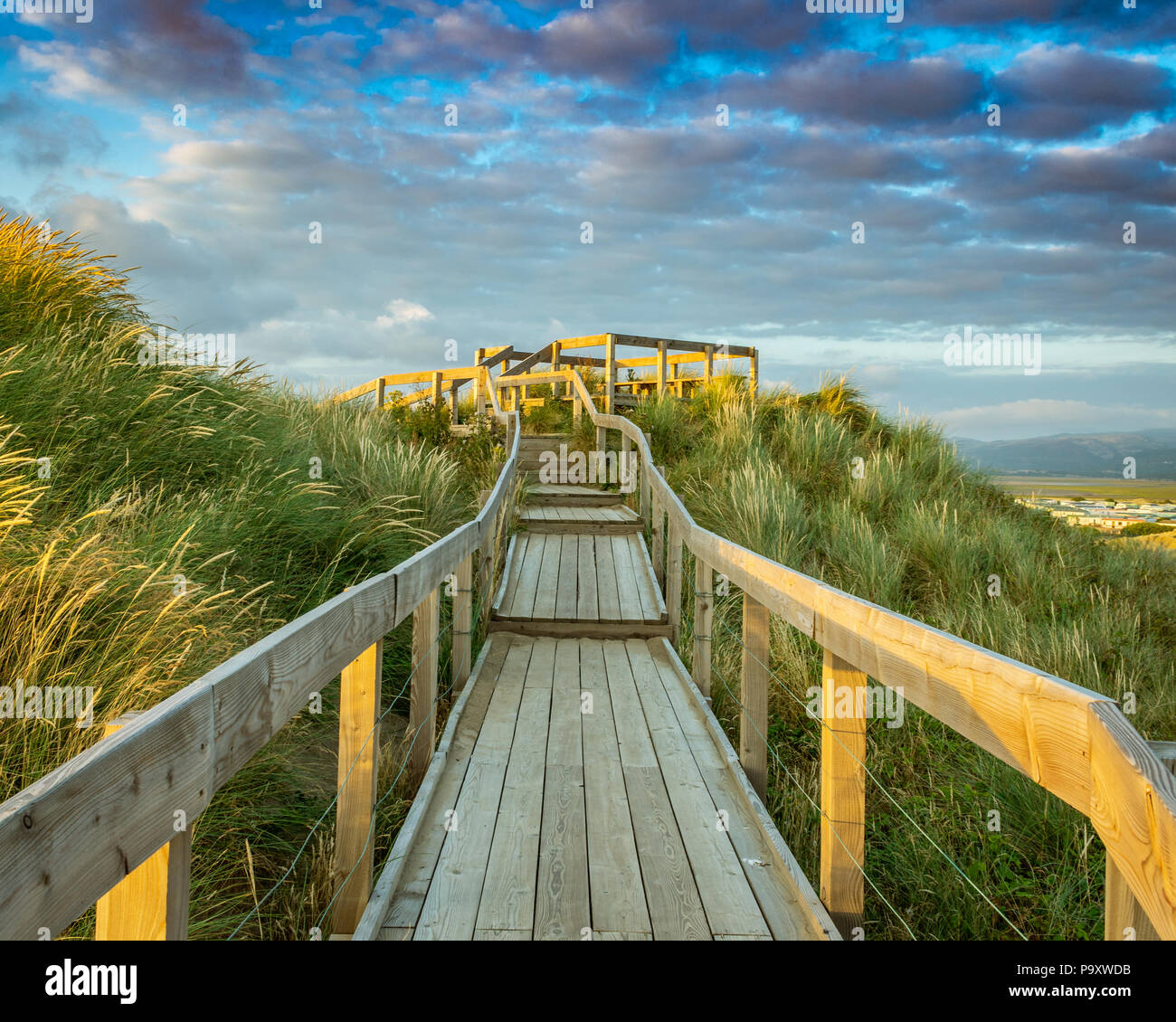 Ynyslas nature reserve hi-res stock photography and images - Alamy