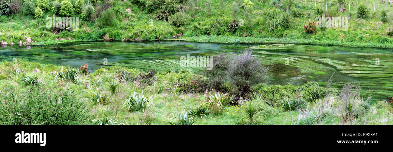 te waihou walkway Stock Photo - Alamy