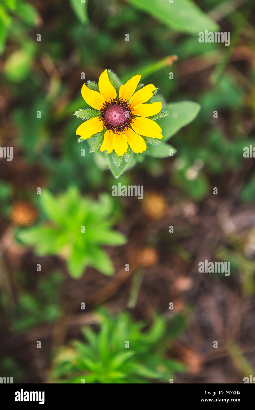 Kansas scenery hi-res stock photography and images - Alamy