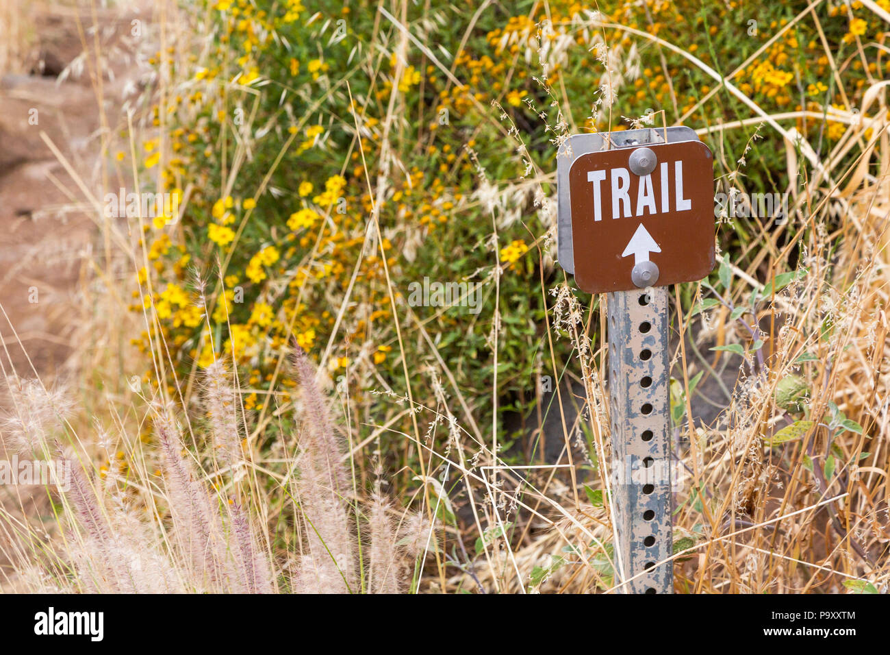 Trailhead sign hi-res stock photography and images - Alamy