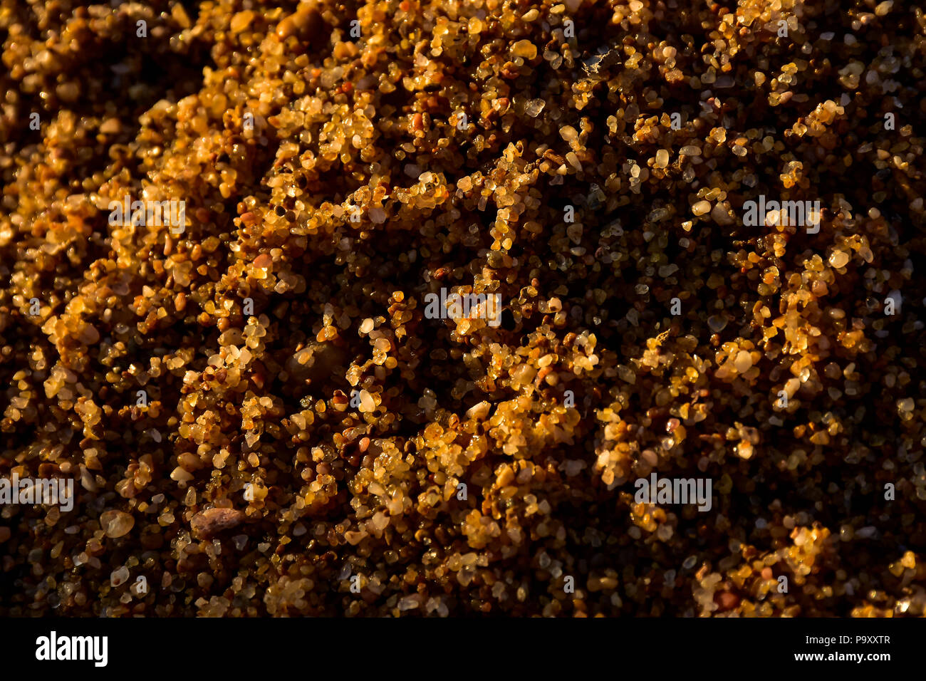 Sand on the beach showing its texture and surface and colors during ...