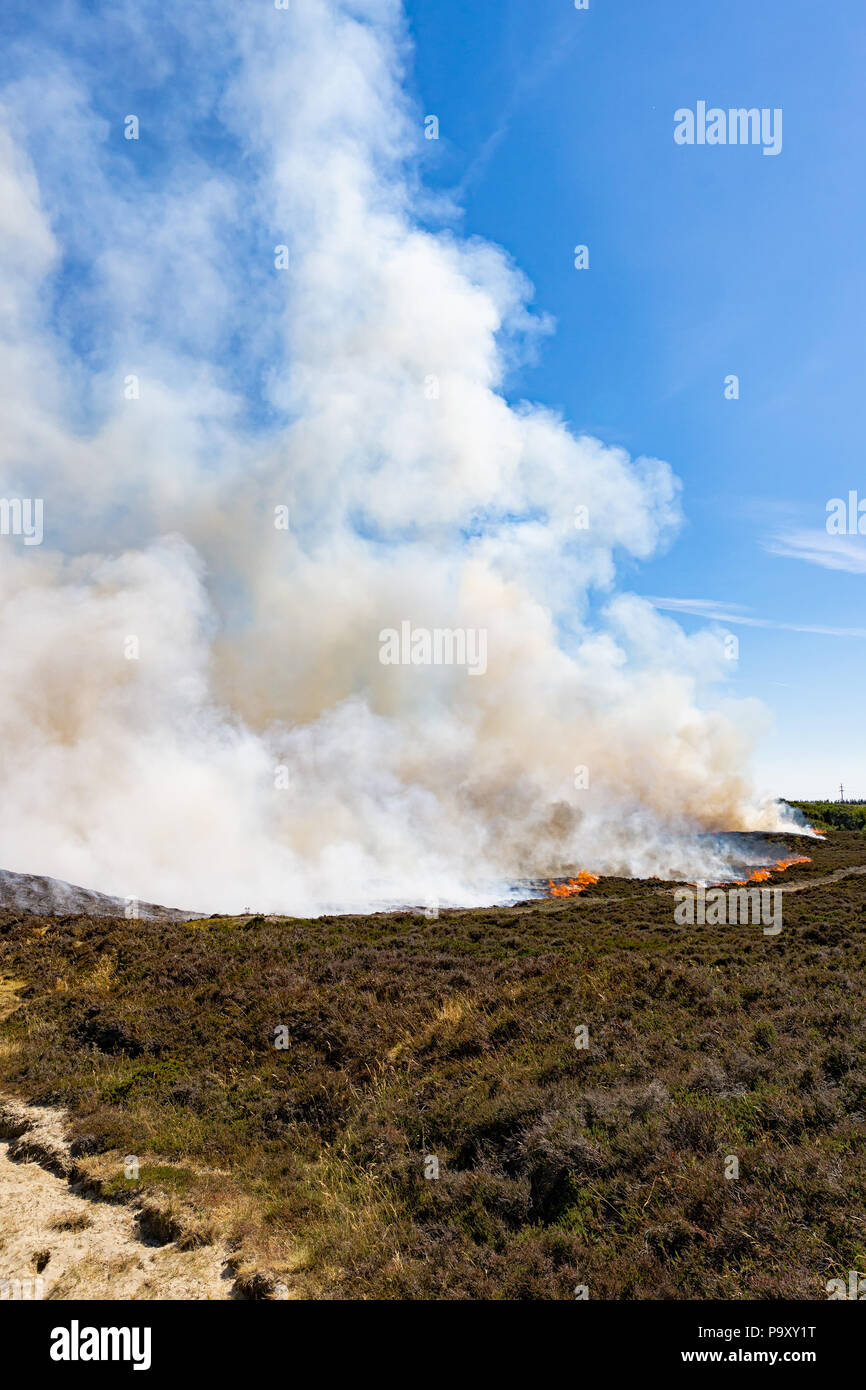Burning for conservation hi-res stock photography and images - Alamy