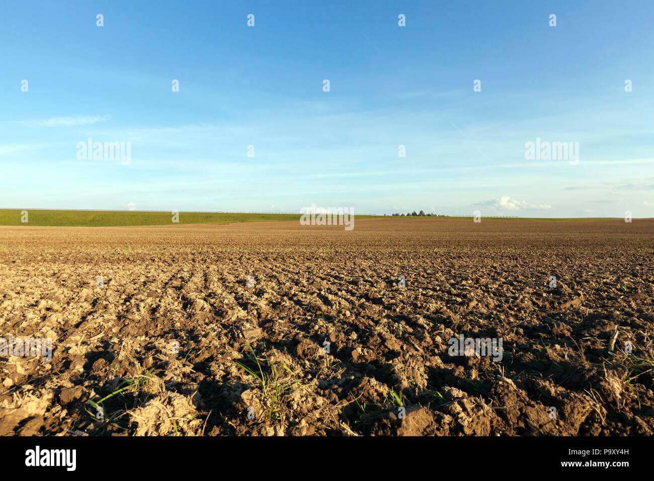 plowed agricultural field crop, a summer landscape after harvesting ...