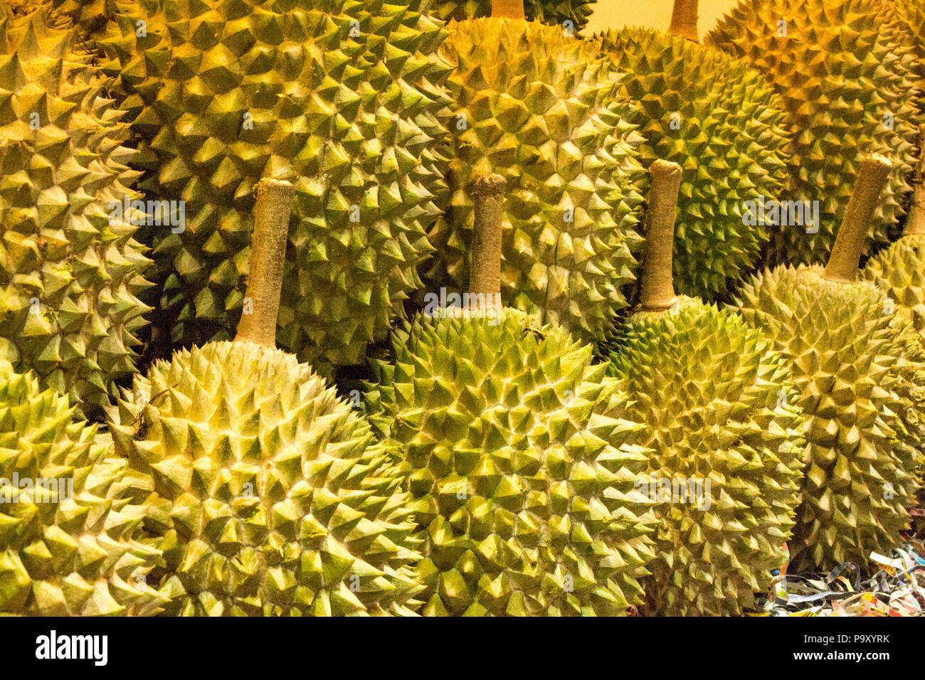 Open durian hi-res stock photography and images - Alamy