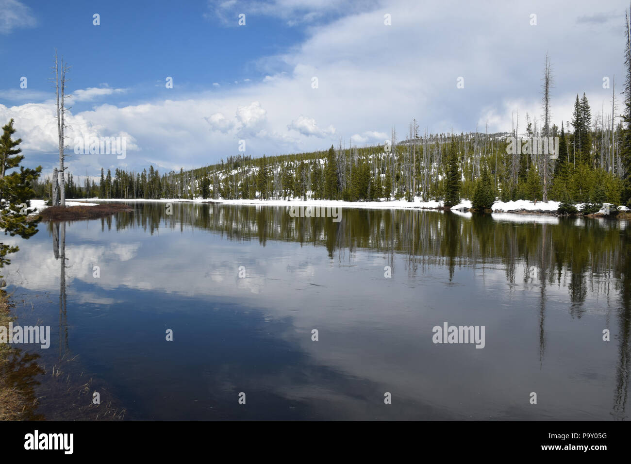 Yellowstone landscape hi-res stock photography and images - Alamy