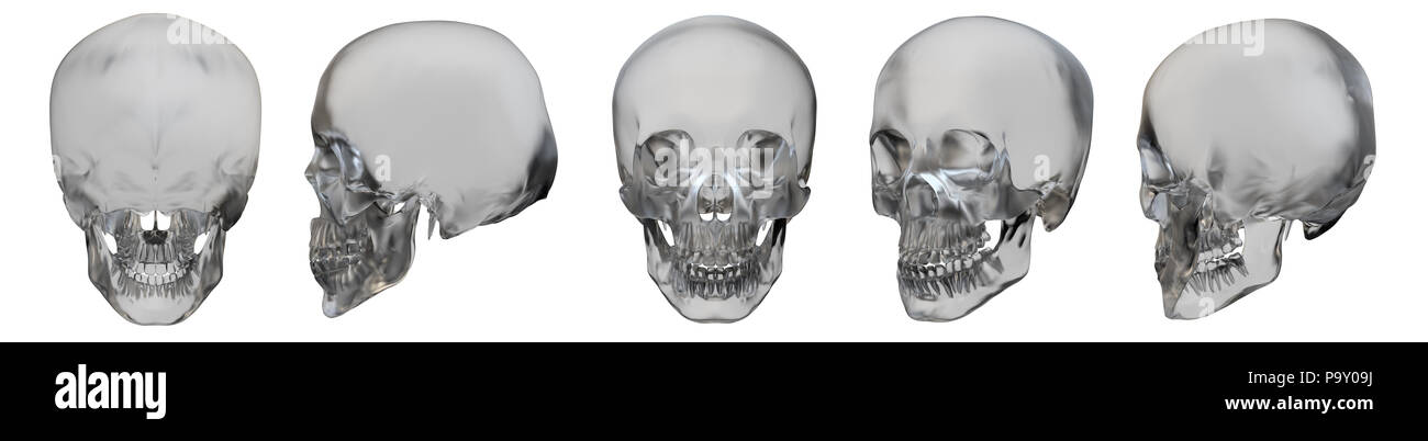 3d rendering illustration of skull Stock Photo - Alamy