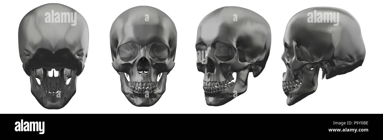 3d rendering illustration of skull Stock Photo - Alamy