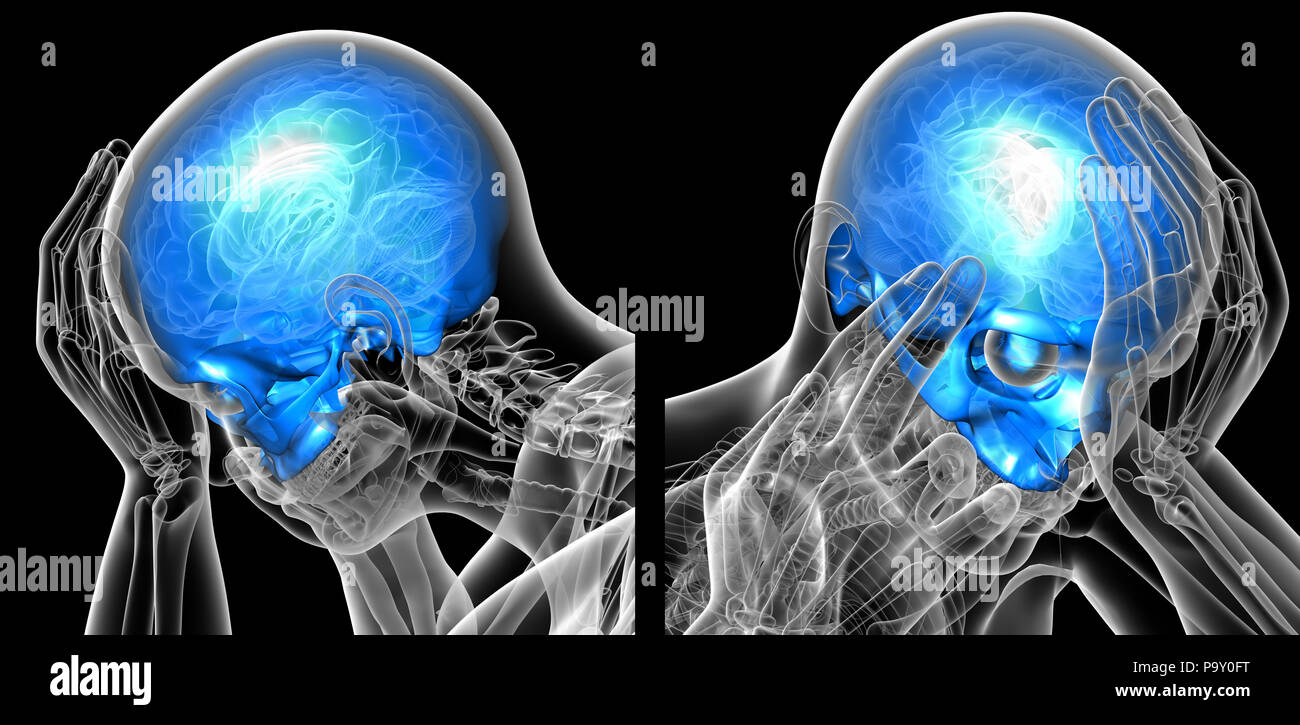 3d rendering medical illustration of the upper skull Stock Photo - Alamy