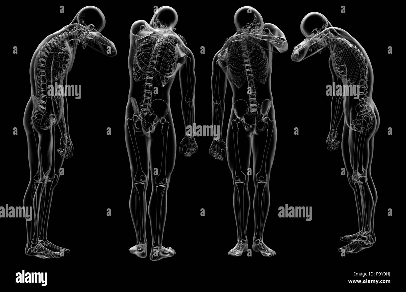 Male human body illustration 3d Black and White Stock Photos & Images ...