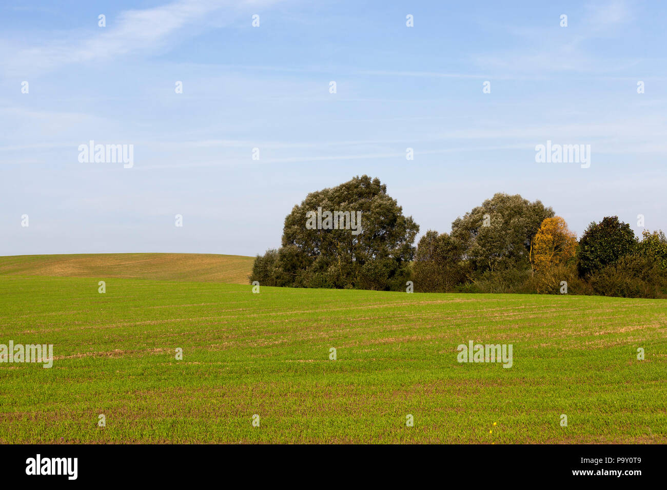 Edge lines on the field hi-res stock photography and images - Alamy