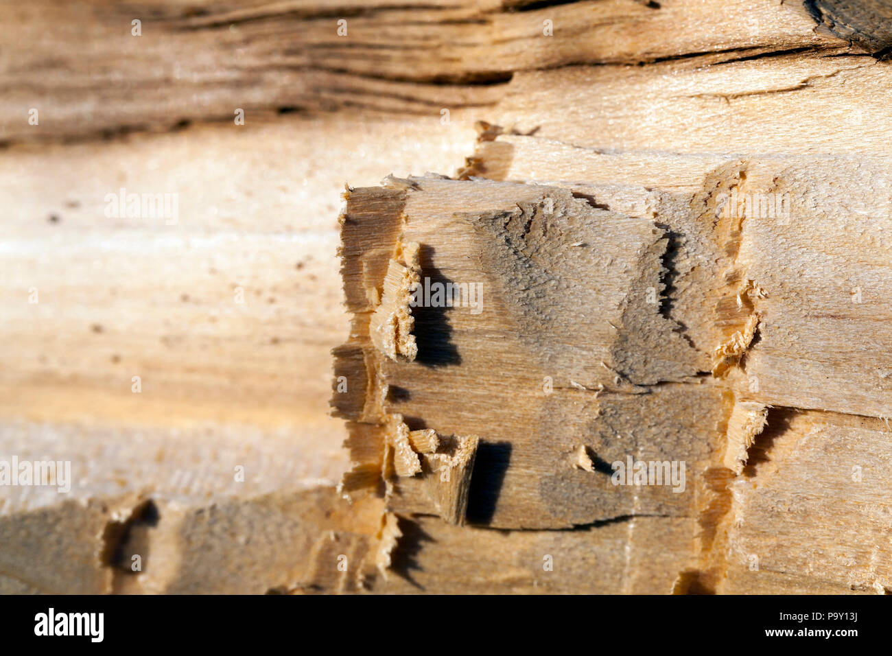 Left traces hi-res stock photography and images - Alamy