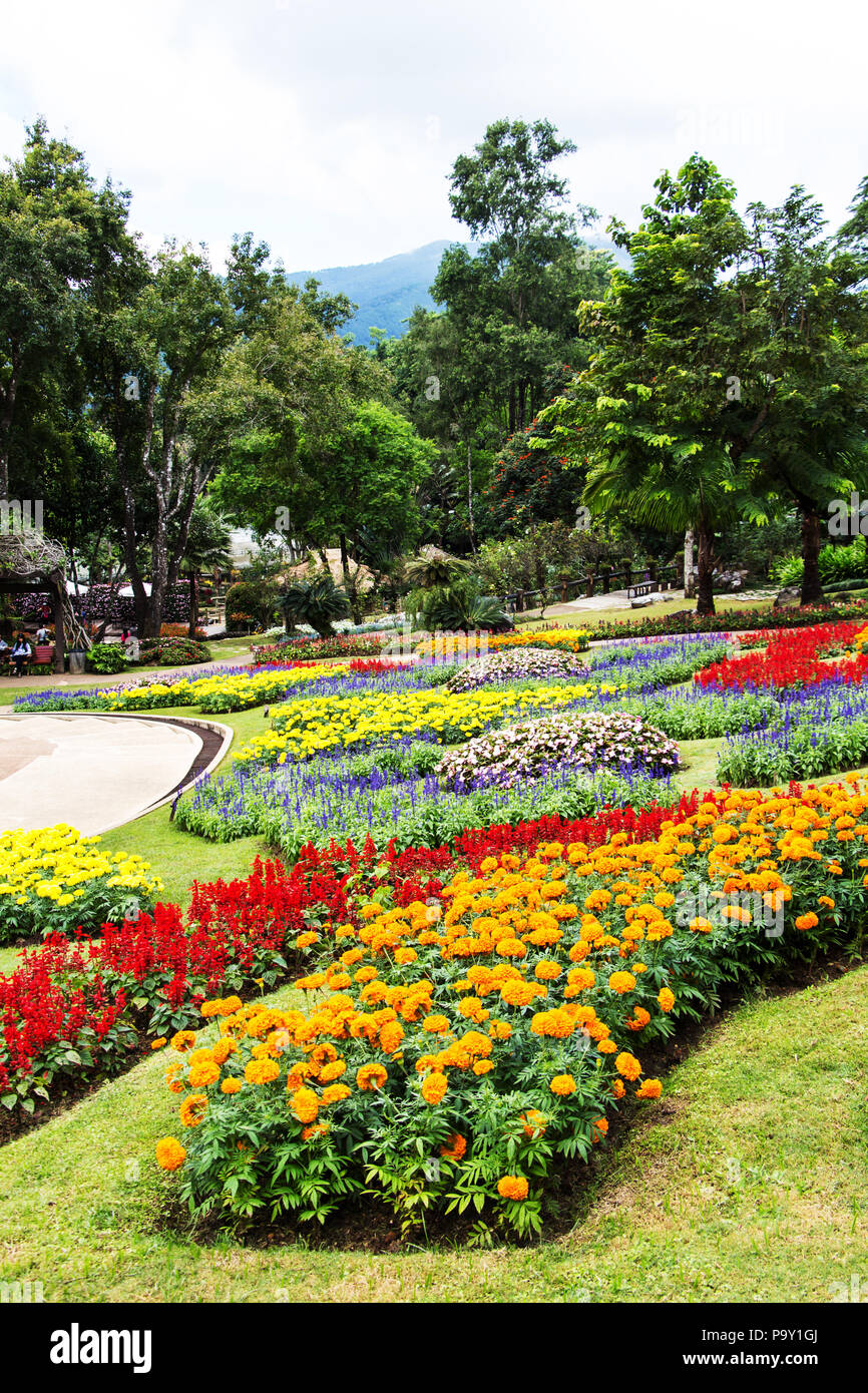 Landscape of Mae Fah Luang Garden, Chiang Rai, Thailand Stock Photo - Alamy