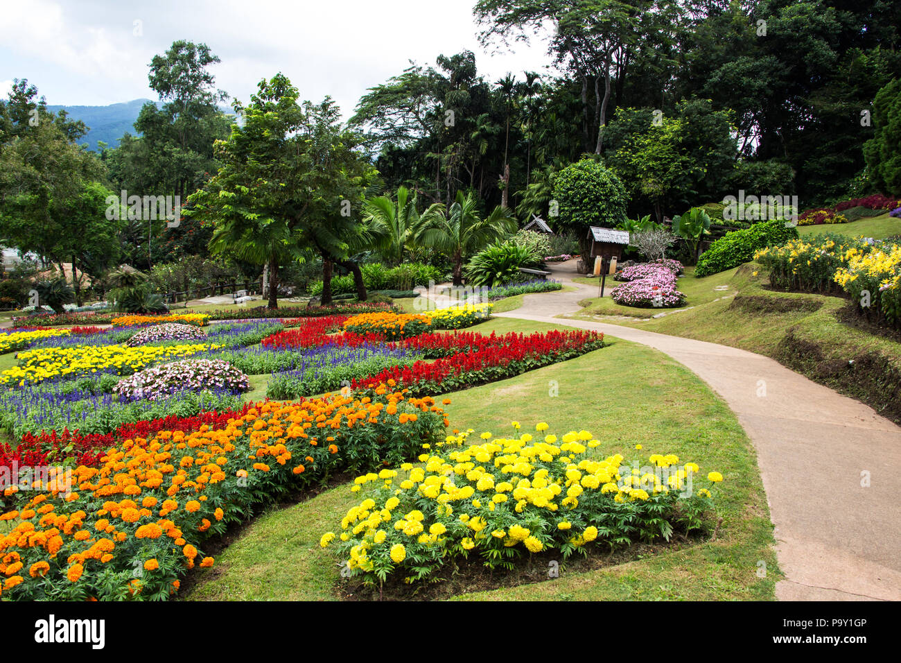 Landscape of Mae Fah Luang Garden, Chiang Rai, Thailand Stock Photo - Alamy