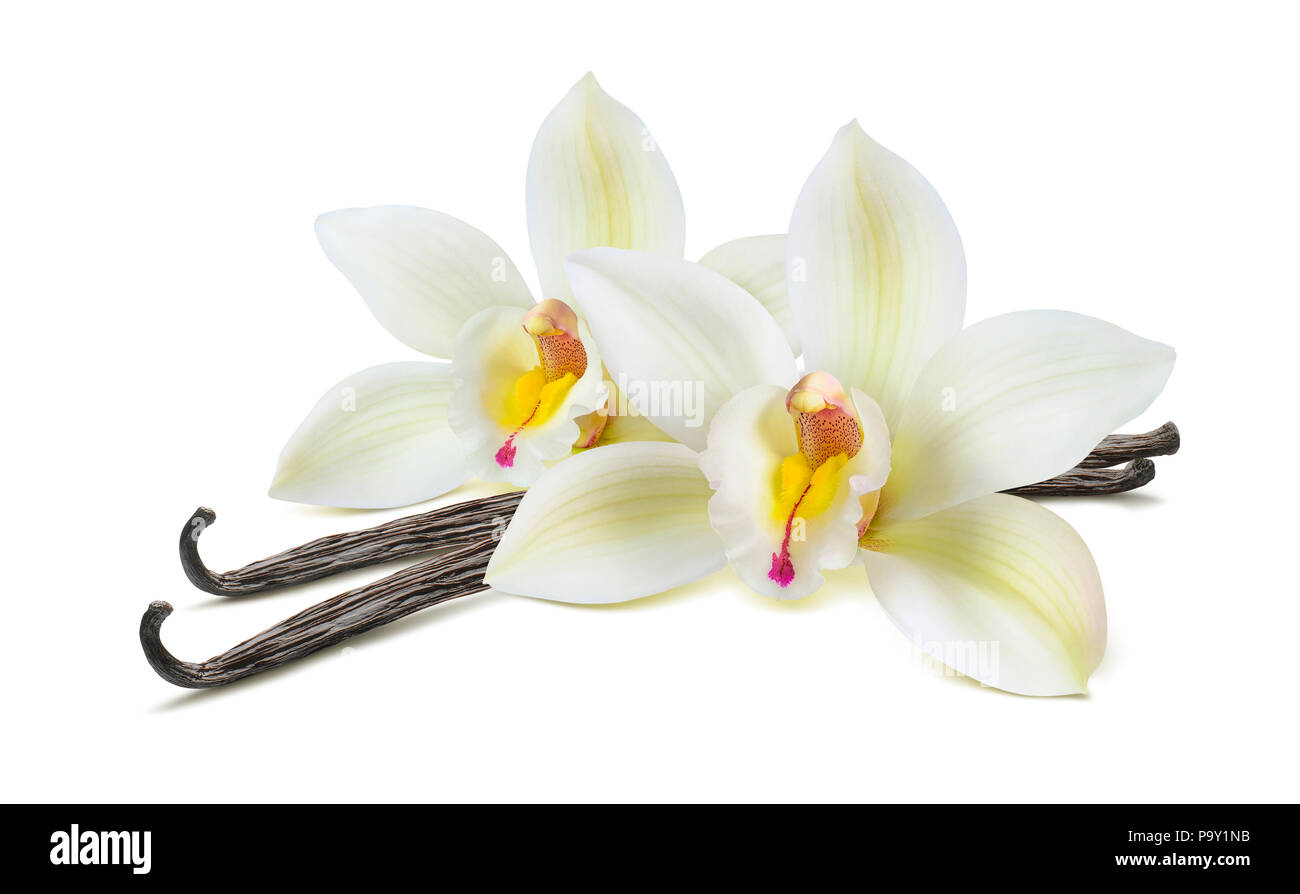 Vanilla flower and pod hi-res stock photography and images - Alamy