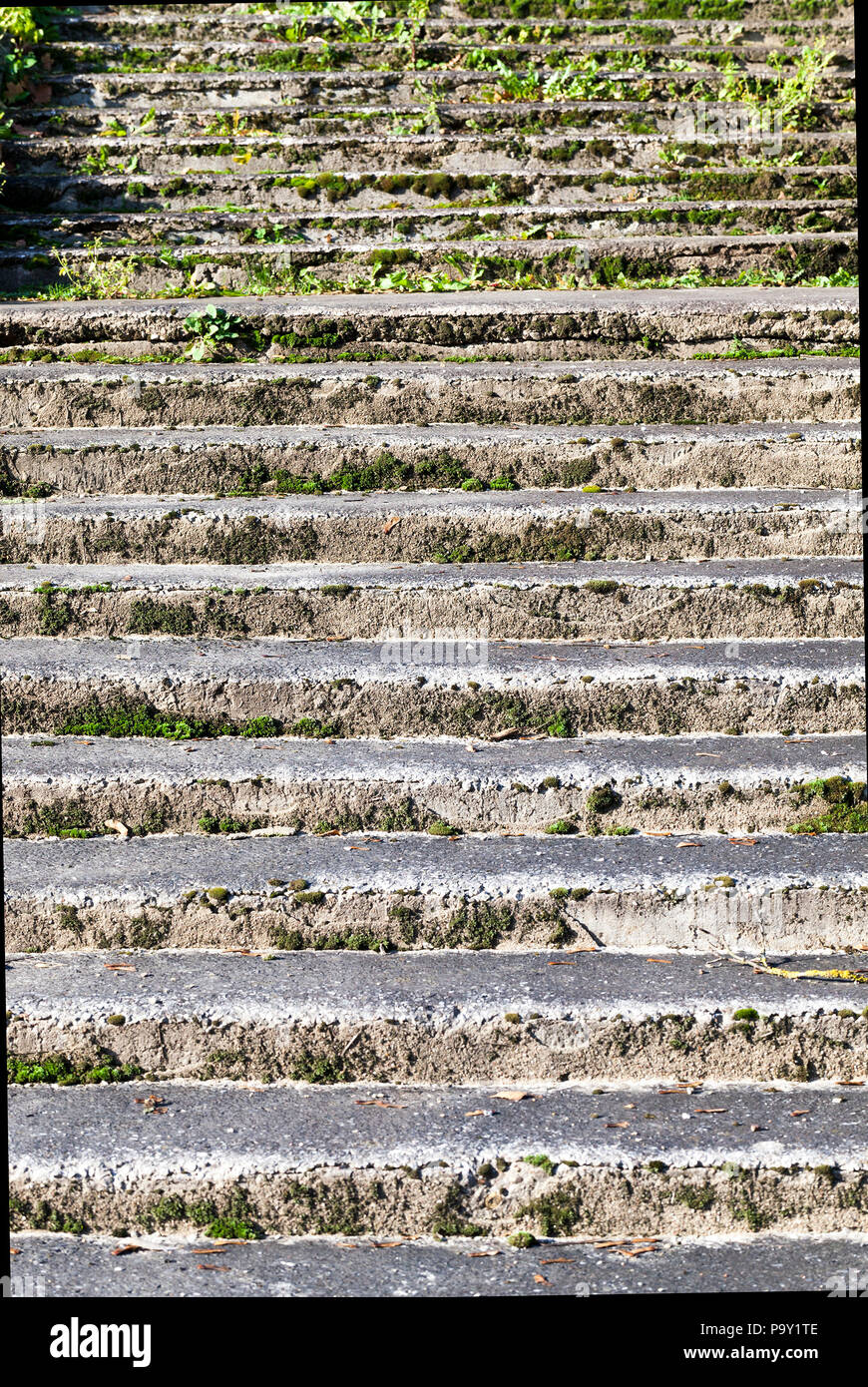 overgrown grass and bushes old staircase made of rubble and concrete ...