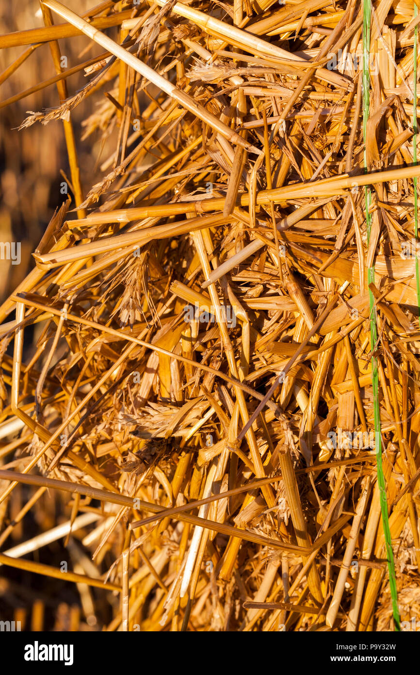 Bundled texture hi-res stock photography and images - Alamy