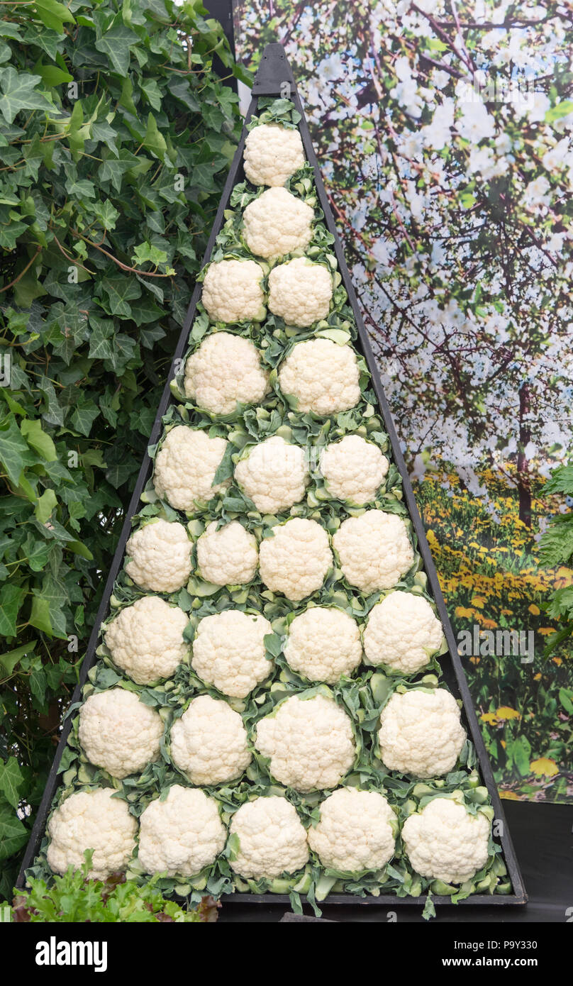 Cauliflowers in a triangular display Stock Photo - Alamy