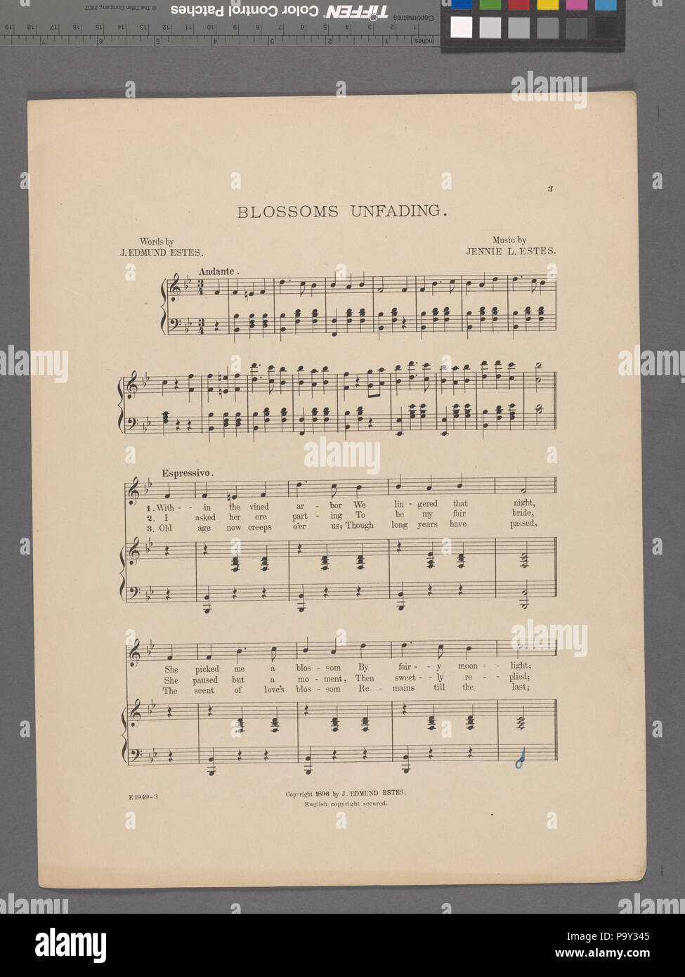 Unfading hi-res stock photography and images - Alamy