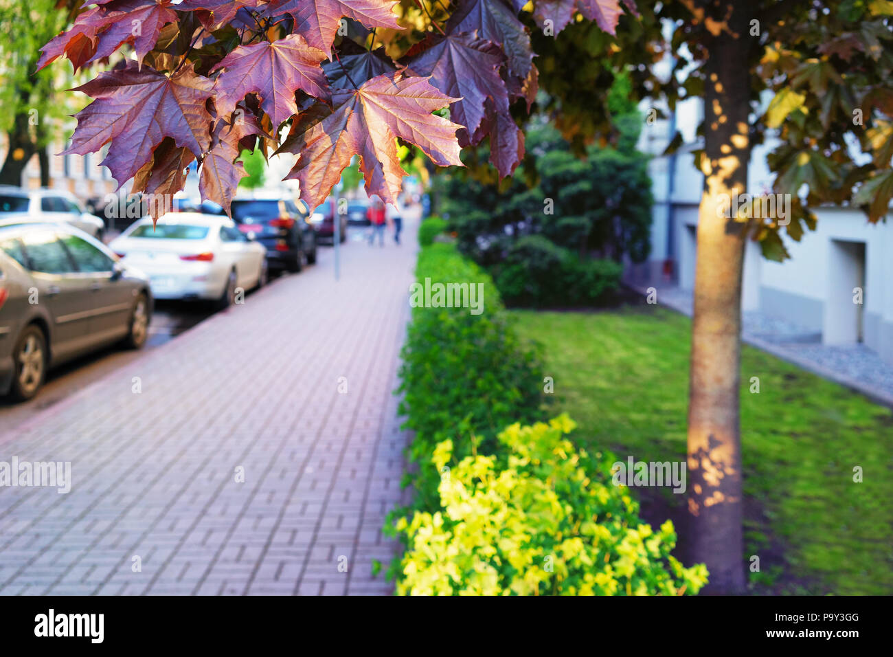 Car parking riga hi-res stock photography and images - Alamy